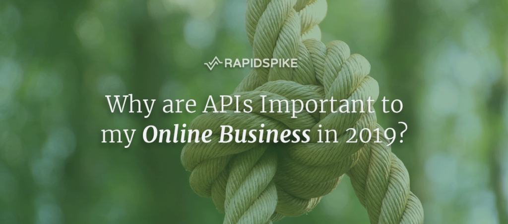 Why are APIs Important to my Online Business in 2019? - RapidSpike